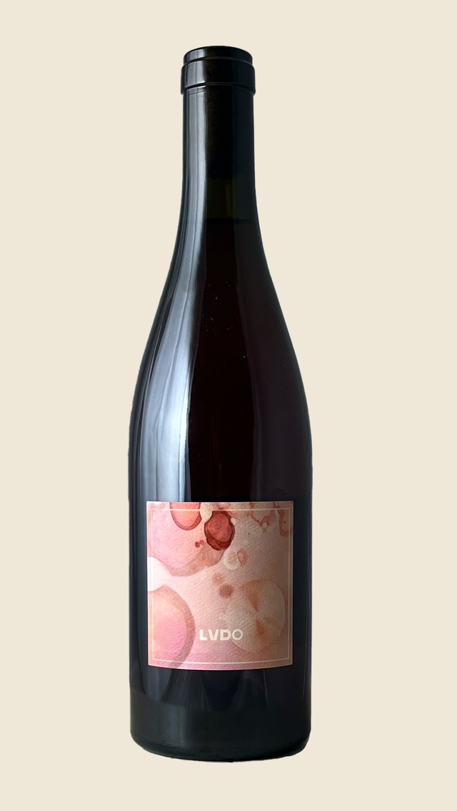 Jennie Wine Shop | The Best Wines From Near & Far – Jennie Wine Shop ...